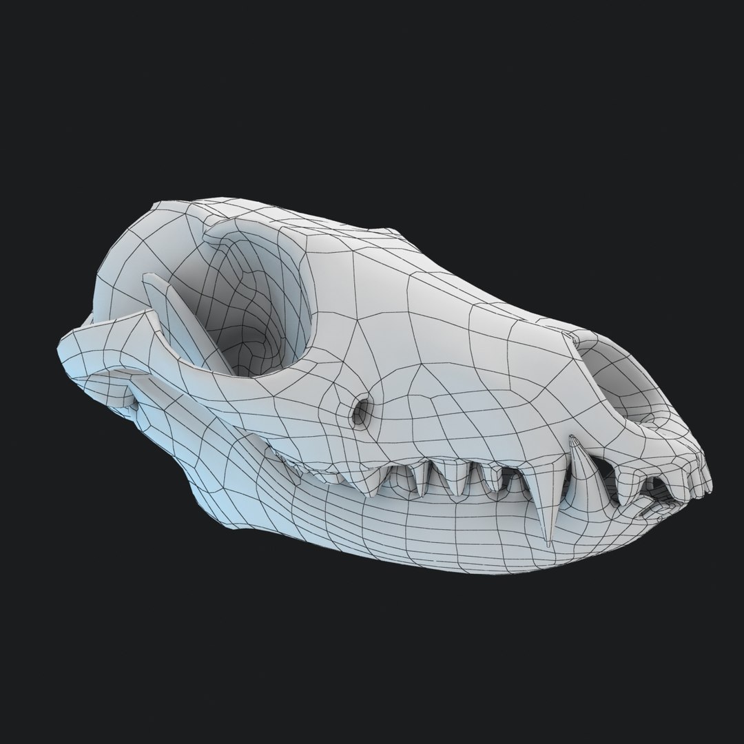 3d model reynard skull