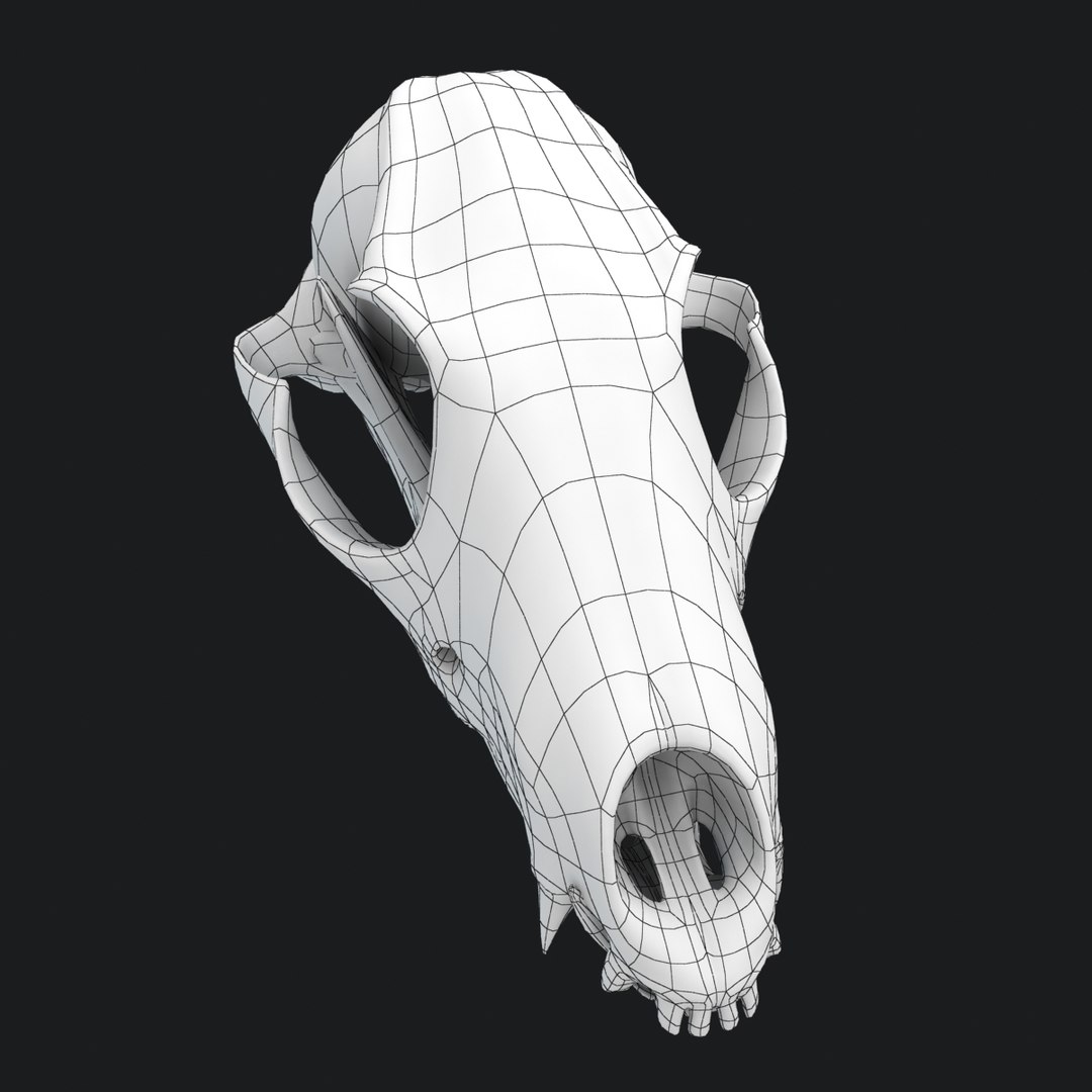 3d model reynard skull