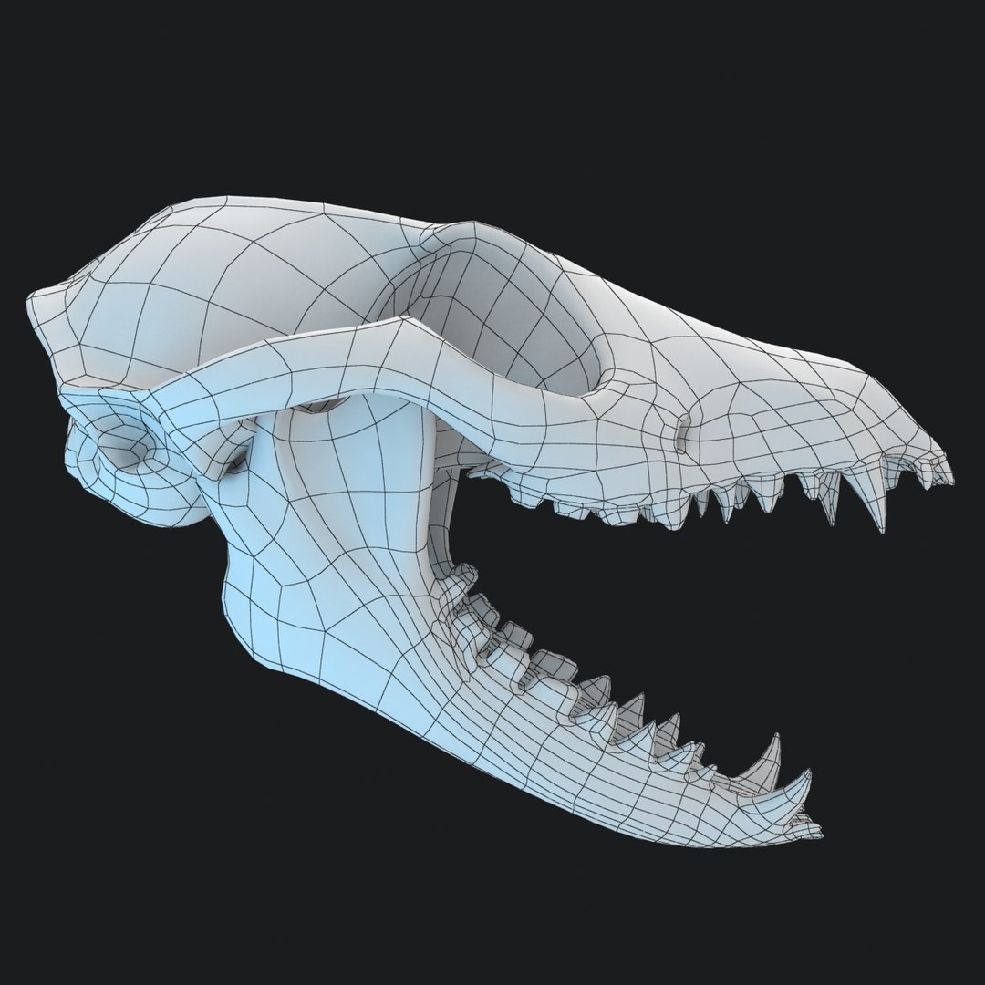 3d model reynard skull