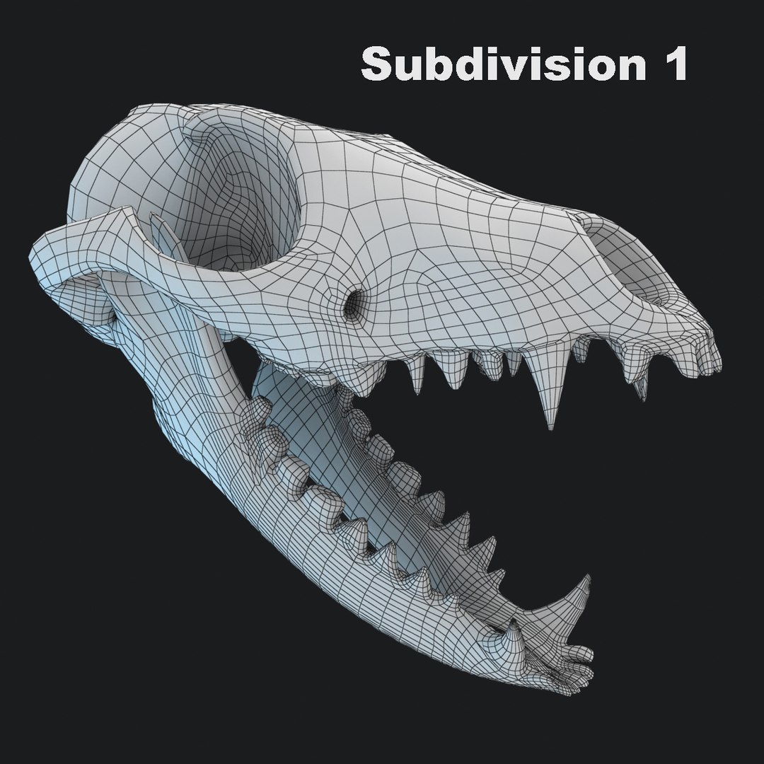 3d model reynard skull