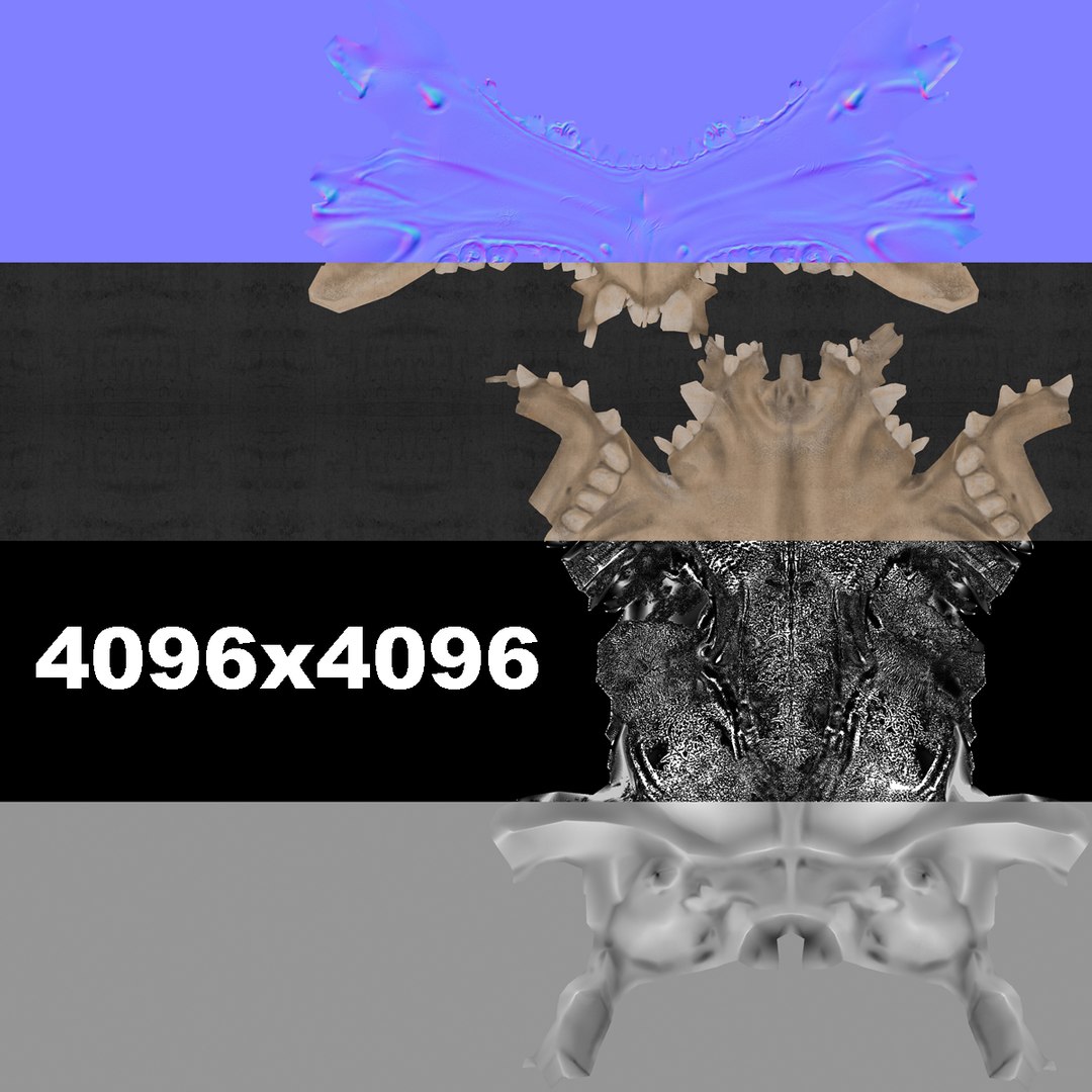 3d model reynard skull