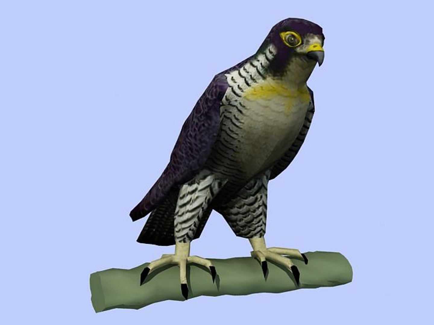Peregrin Falcon Obj