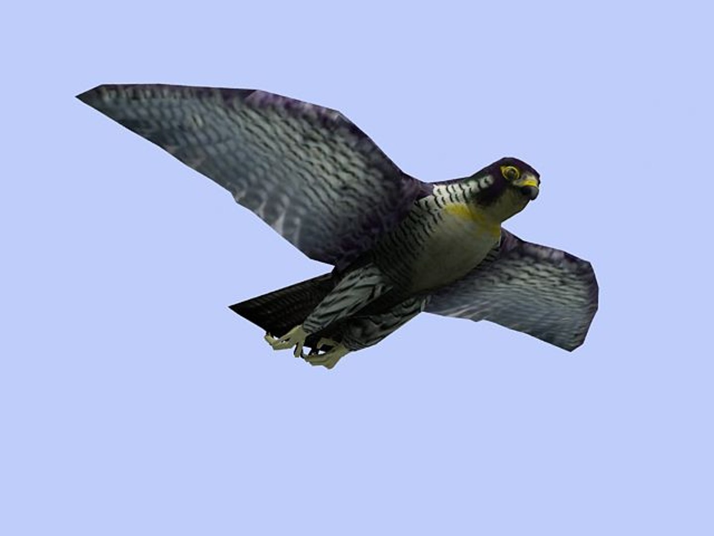 Peregrin Falcon Obj