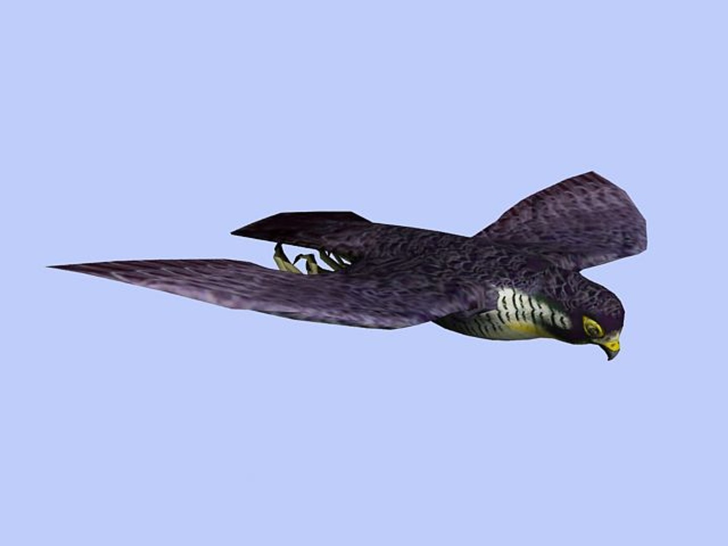Peregrin Falcon Obj