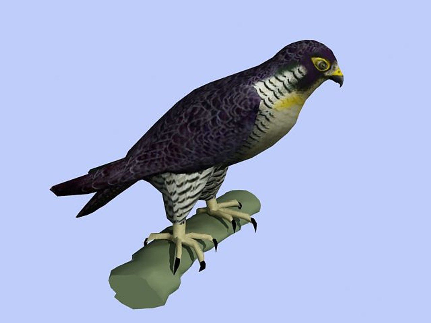 Peregrin Falcon Obj