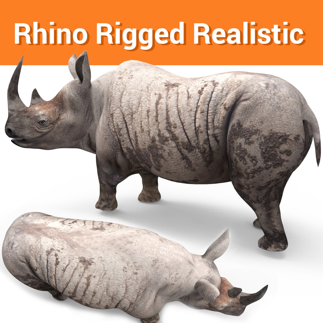 Realistic Rhino Rigged 3D Model - TurboSquid 1266061