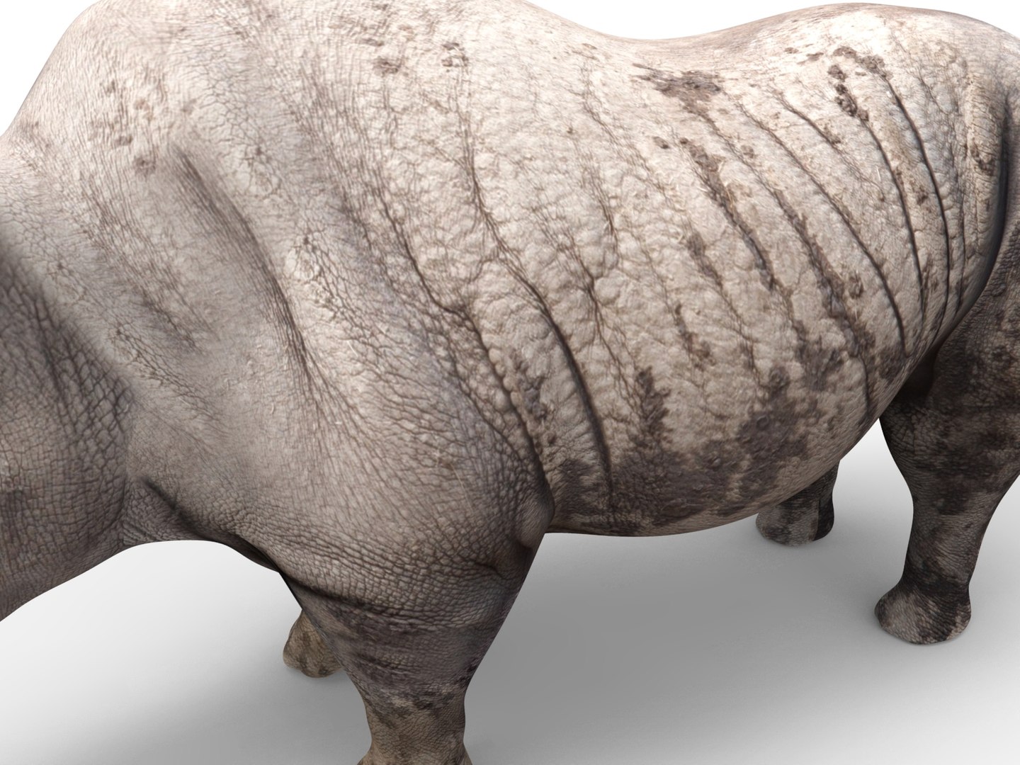 Realistic Rhino Rigged 3D Model - TurboSquid 1266061