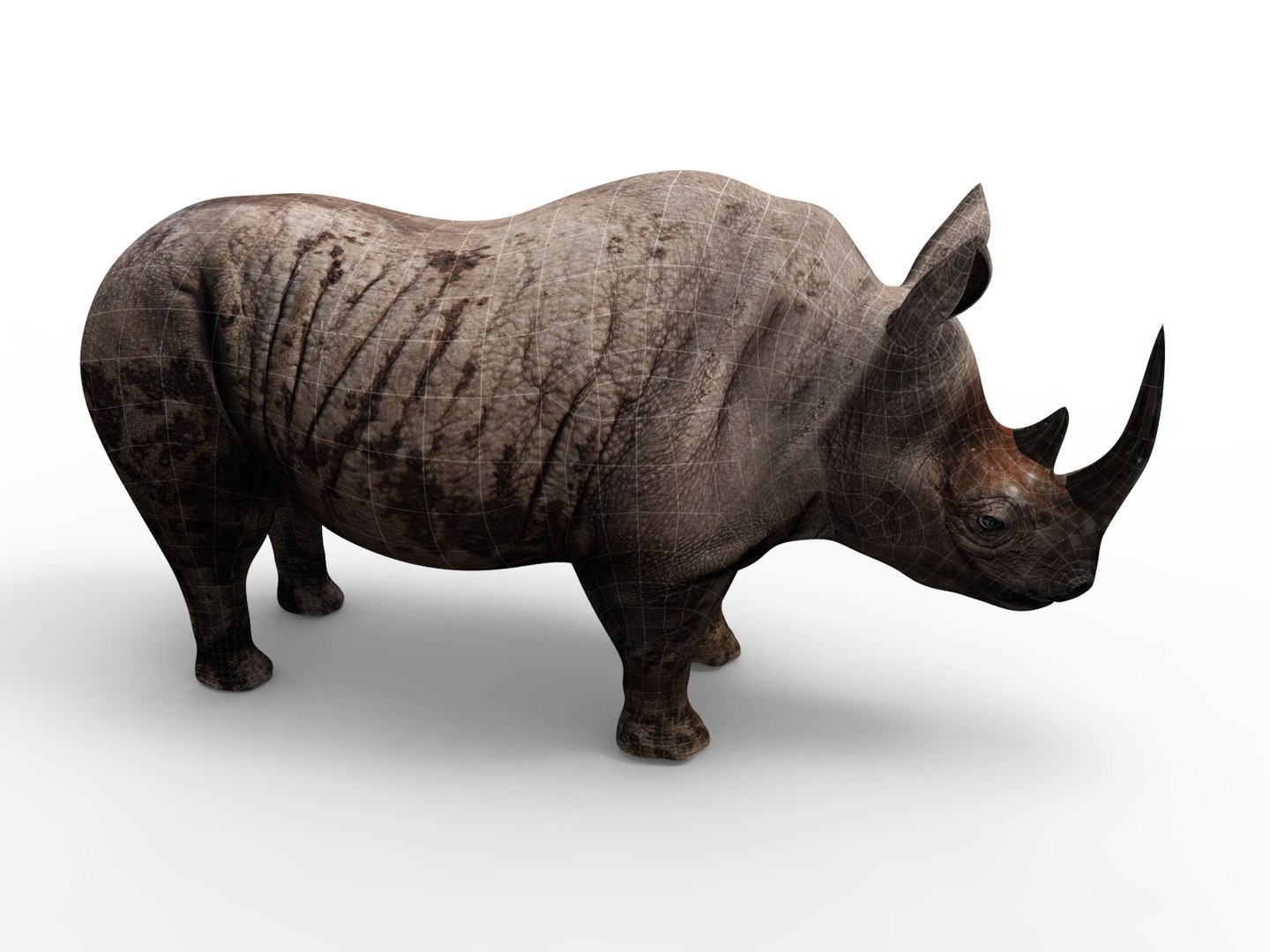 Realistic Rhino Rigged 3D Model - TurboSquid 1266061