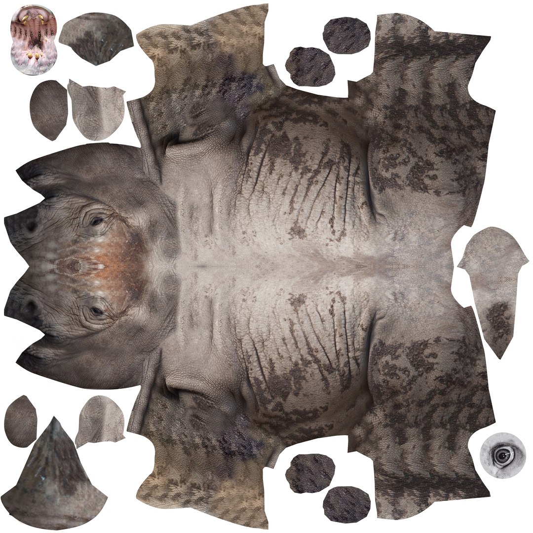 Realistic Rhino Rigged 3D Model - TurboSquid 1266061