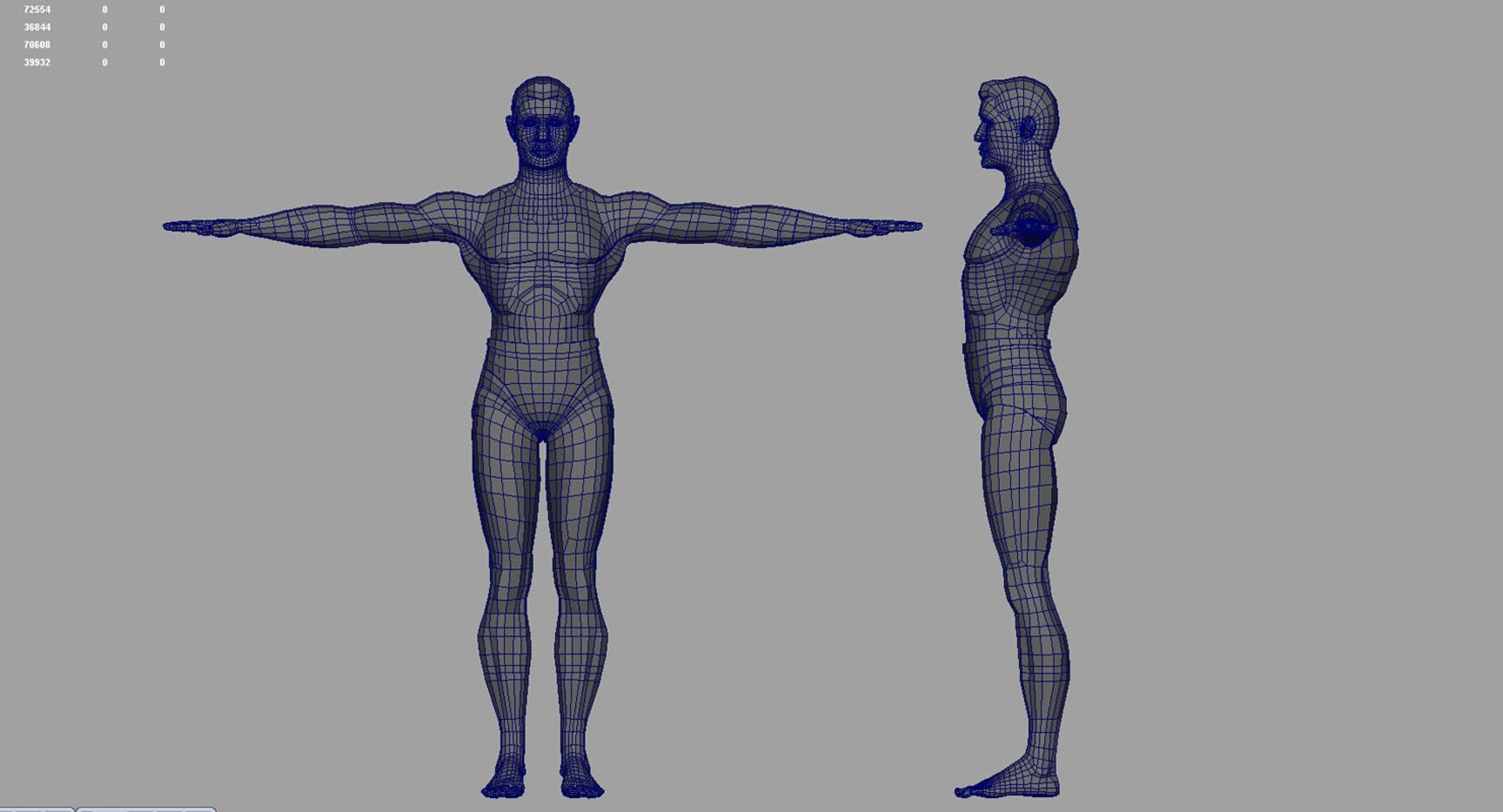 Human Body 3D Model - TurboSquid 1533896