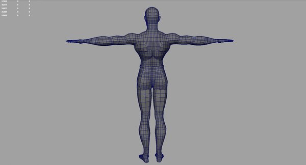 modelo 3d cuerpo humano - TurboSquid 1533896