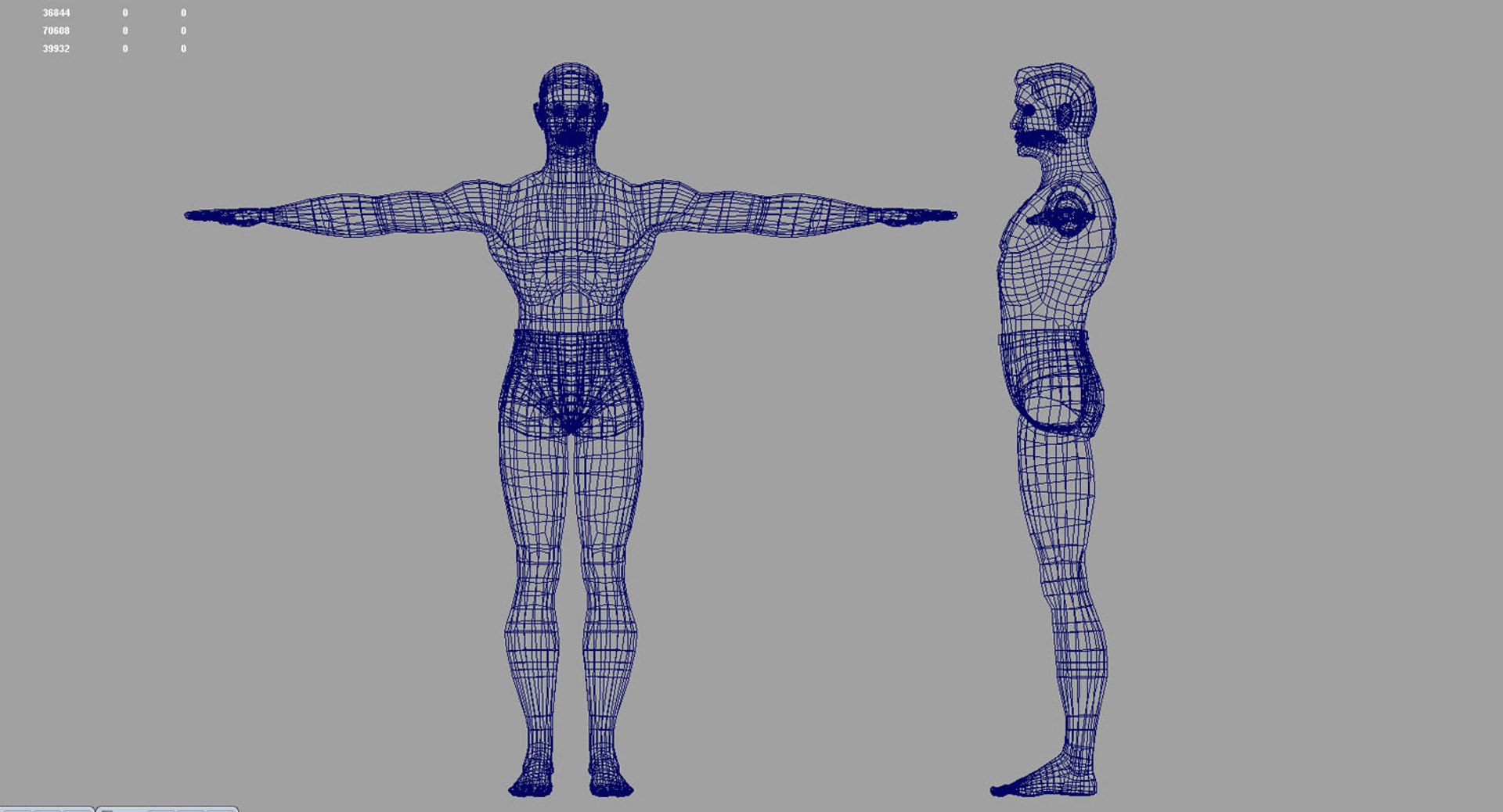 Human Body 3D Model - TurboSquid 1533896