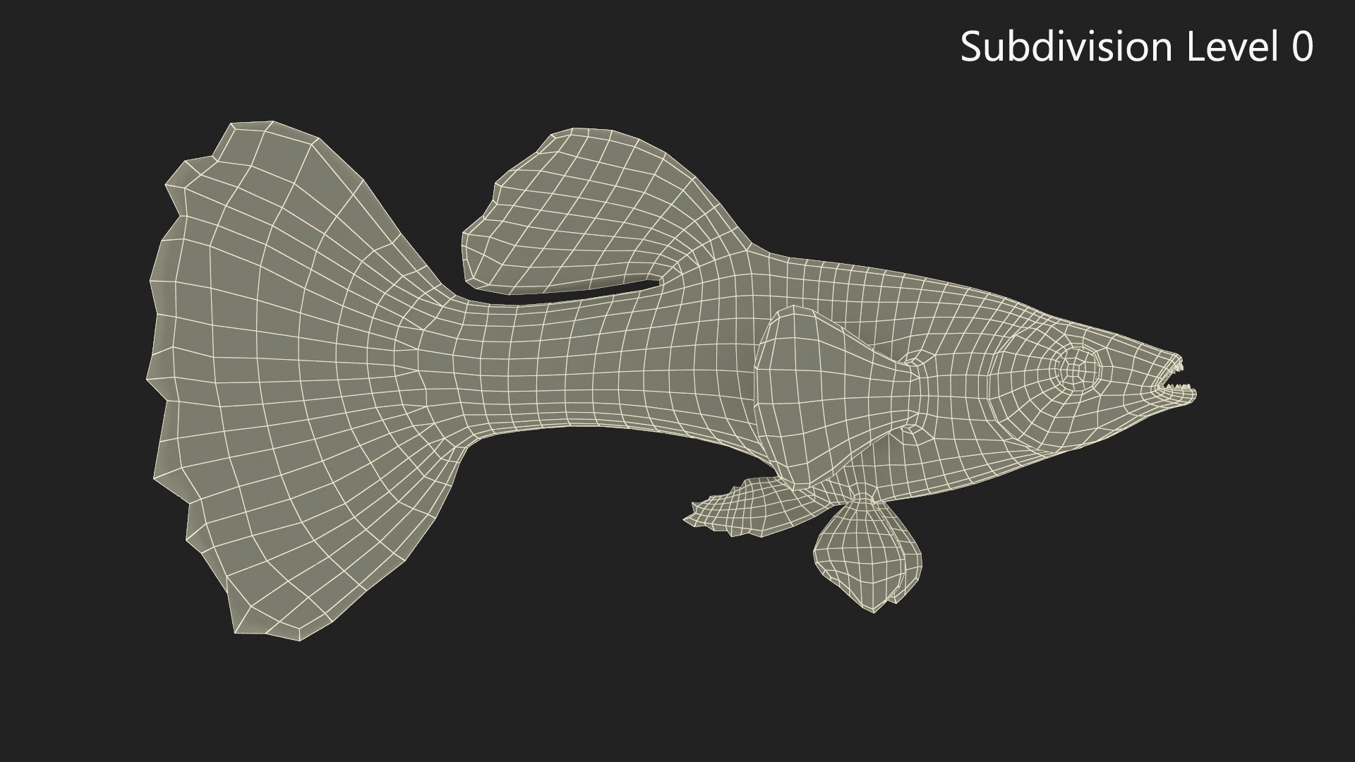 3D Guppy Fish Red Snake - TurboSquid 2270165