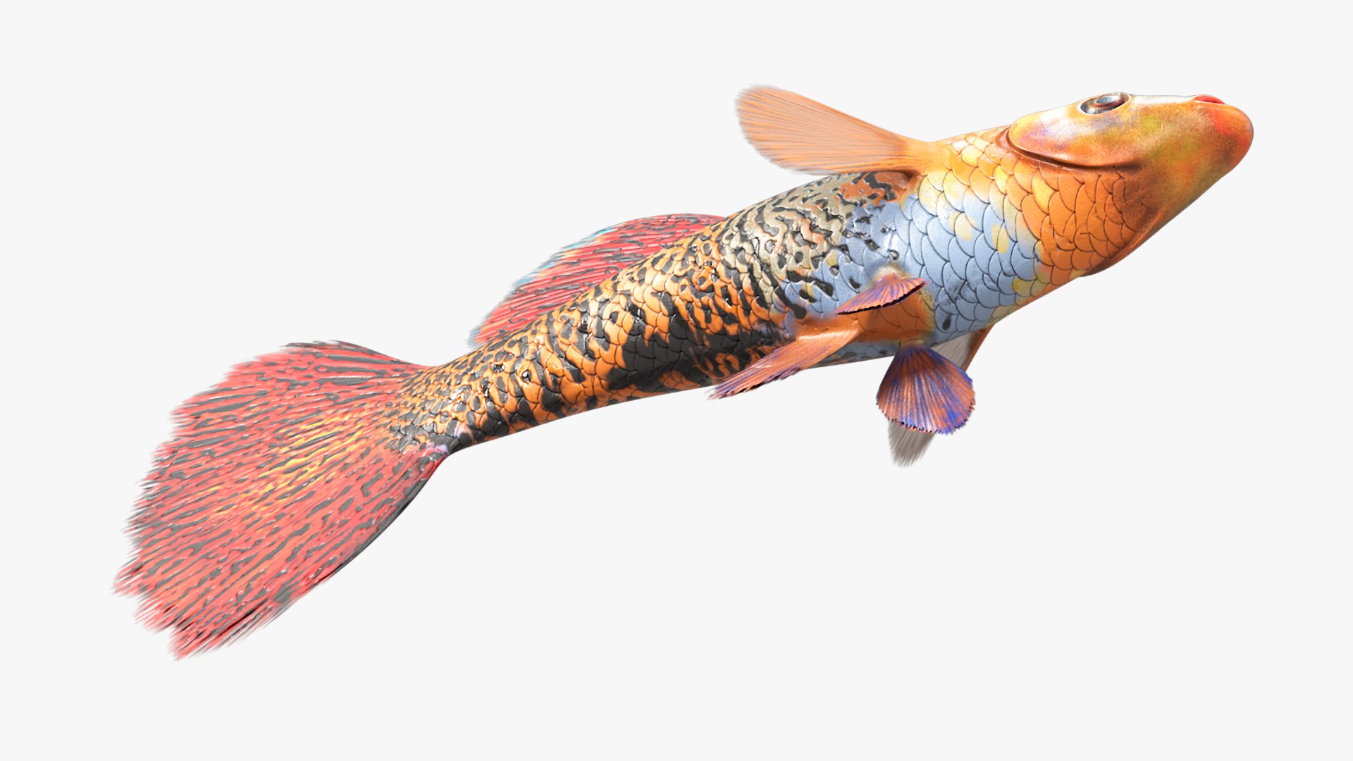 3D Guppy Fish Red Snake - TurboSquid 2270165