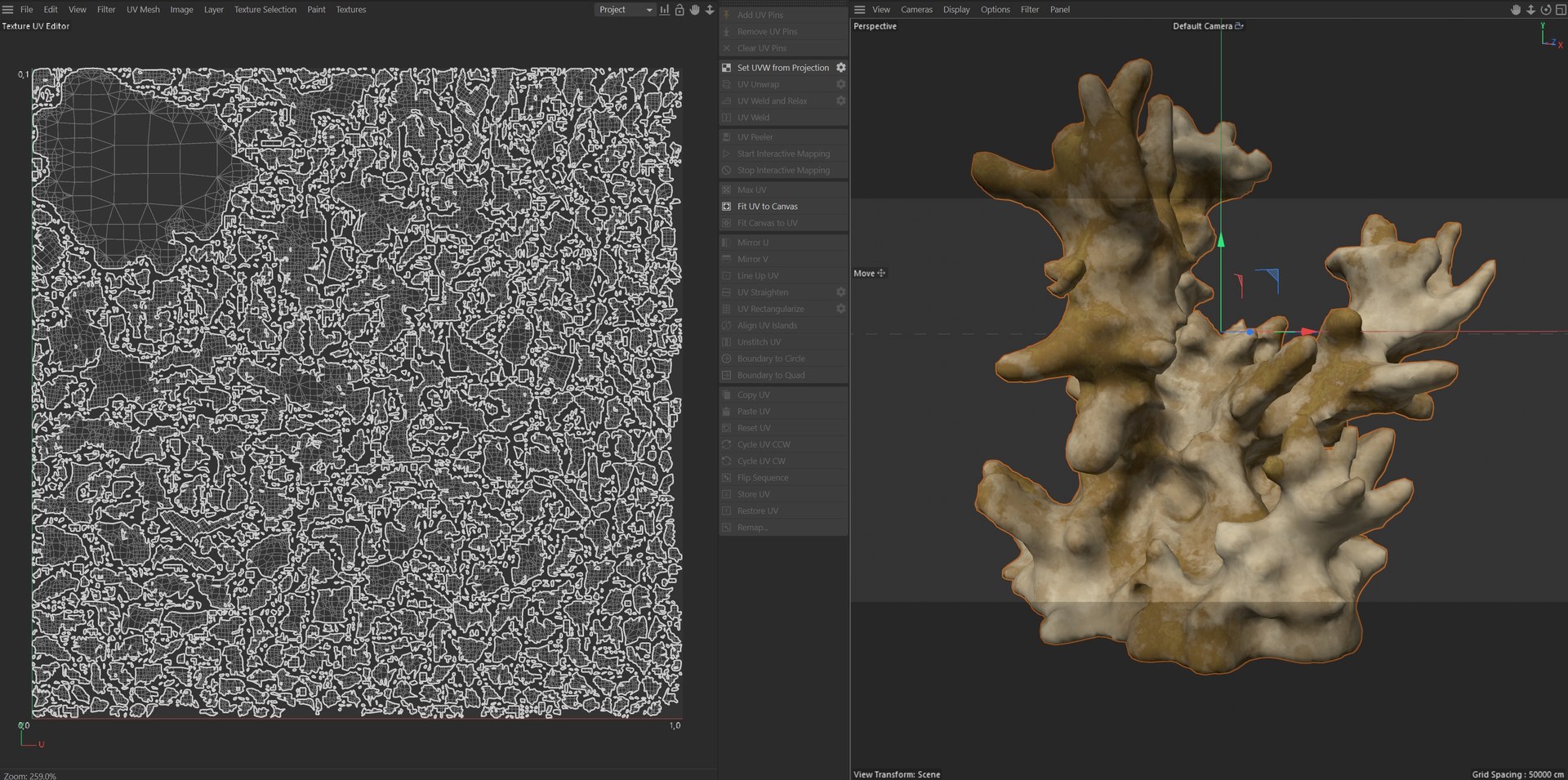 3D Coral Reef Collection Model - TurboSquid 2370941