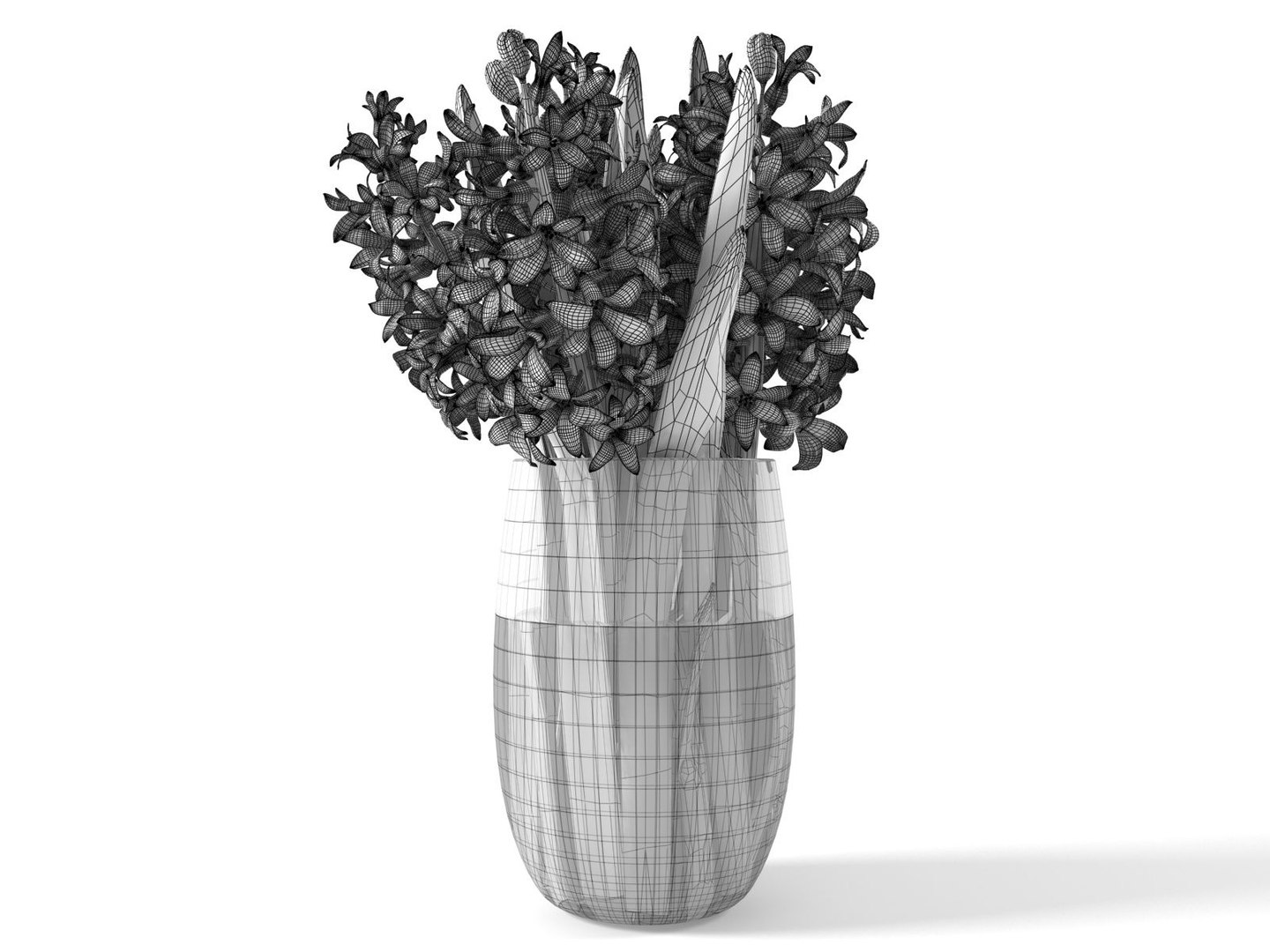 White Hyacinths 3D Model - TurboSquid 1226250