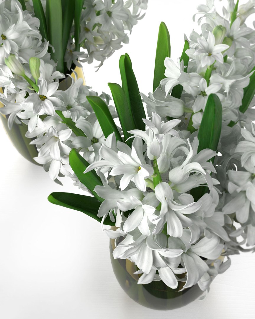 White Hyacinths 3D Model - TurboSquid 1226250