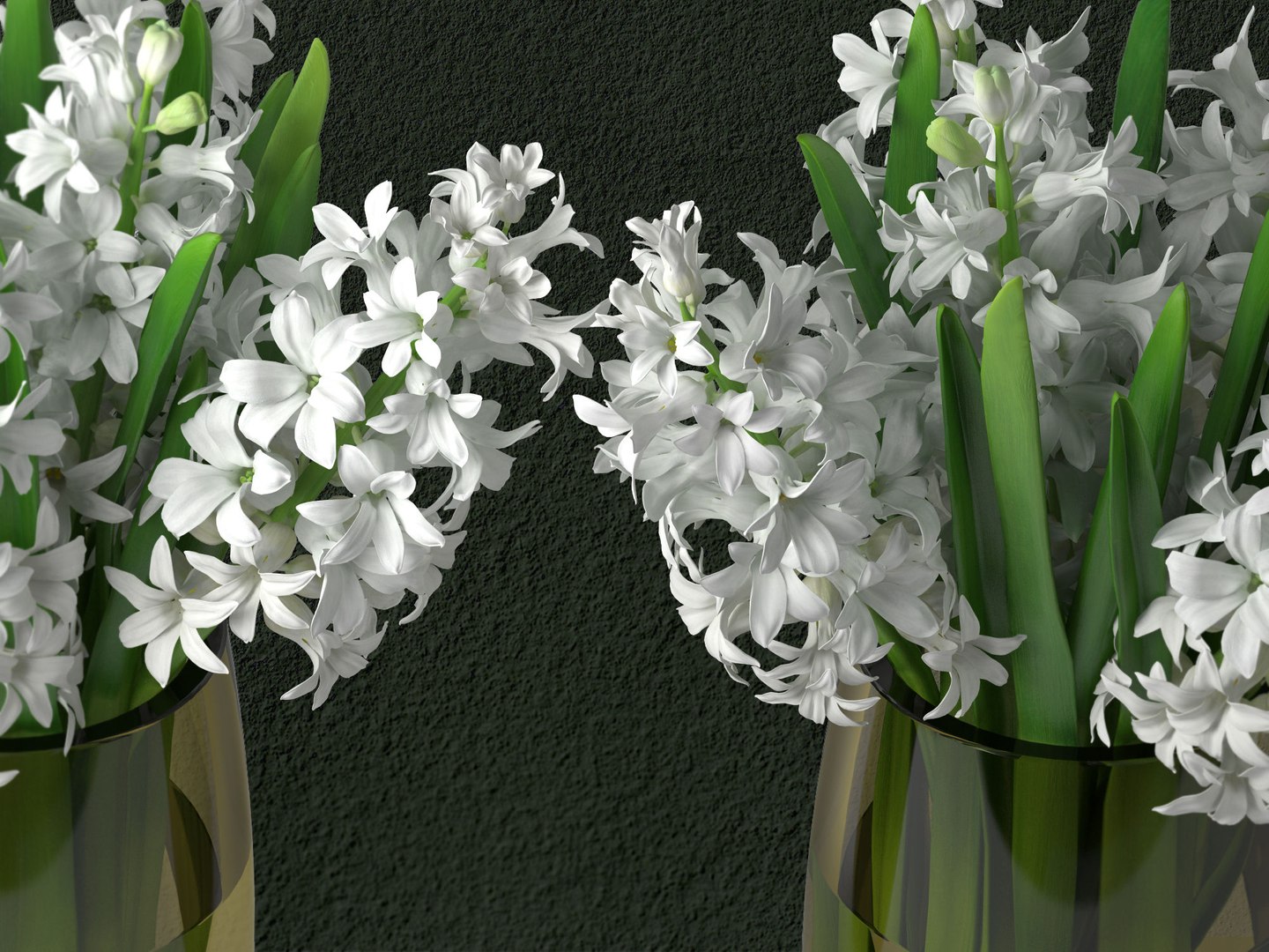 White Hyacinths 3D Model - TurboSquid 1226250