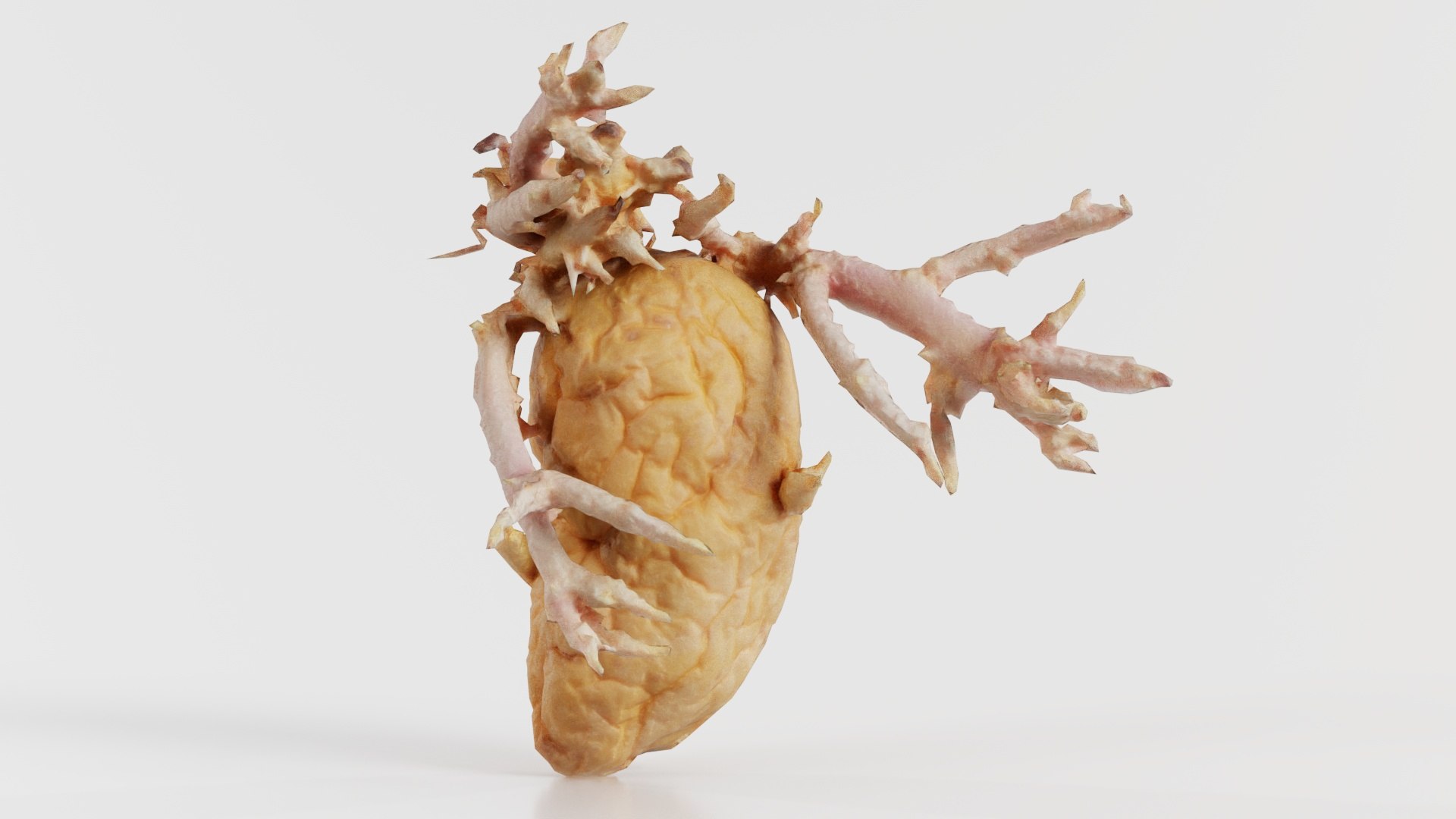 3D Shriveled Potatoe 3 Remastered Model - TurboSquid 2362474