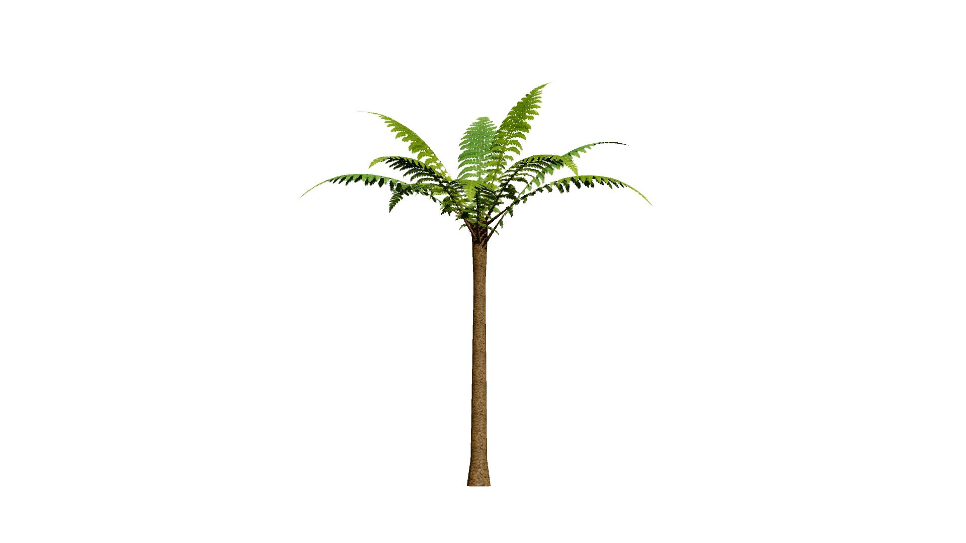 Realistic Tree Fern 3D Model - TurboSquid 2324095