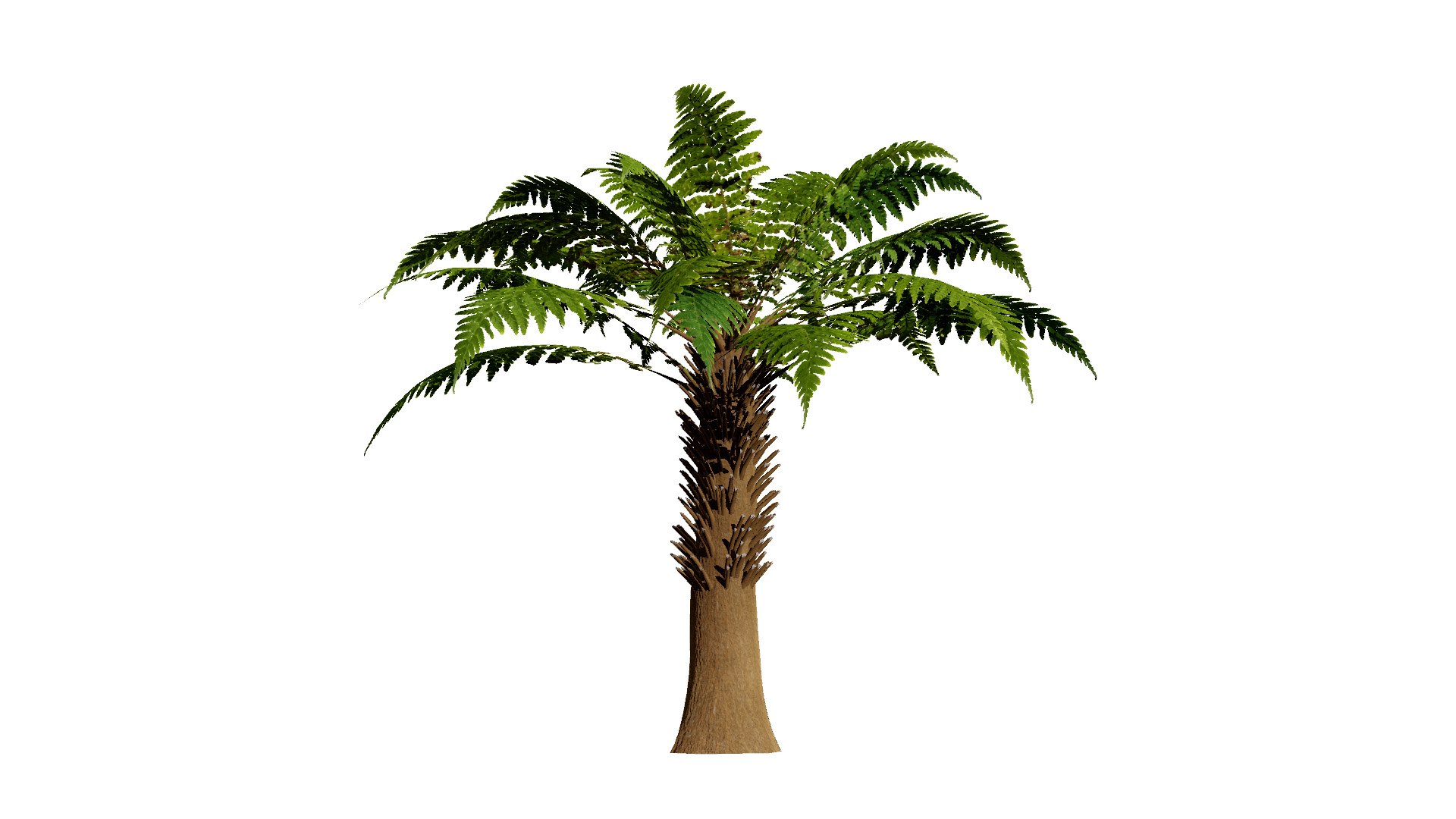 Realistic Tree Fern 3D Model - TurboSquid 2324095