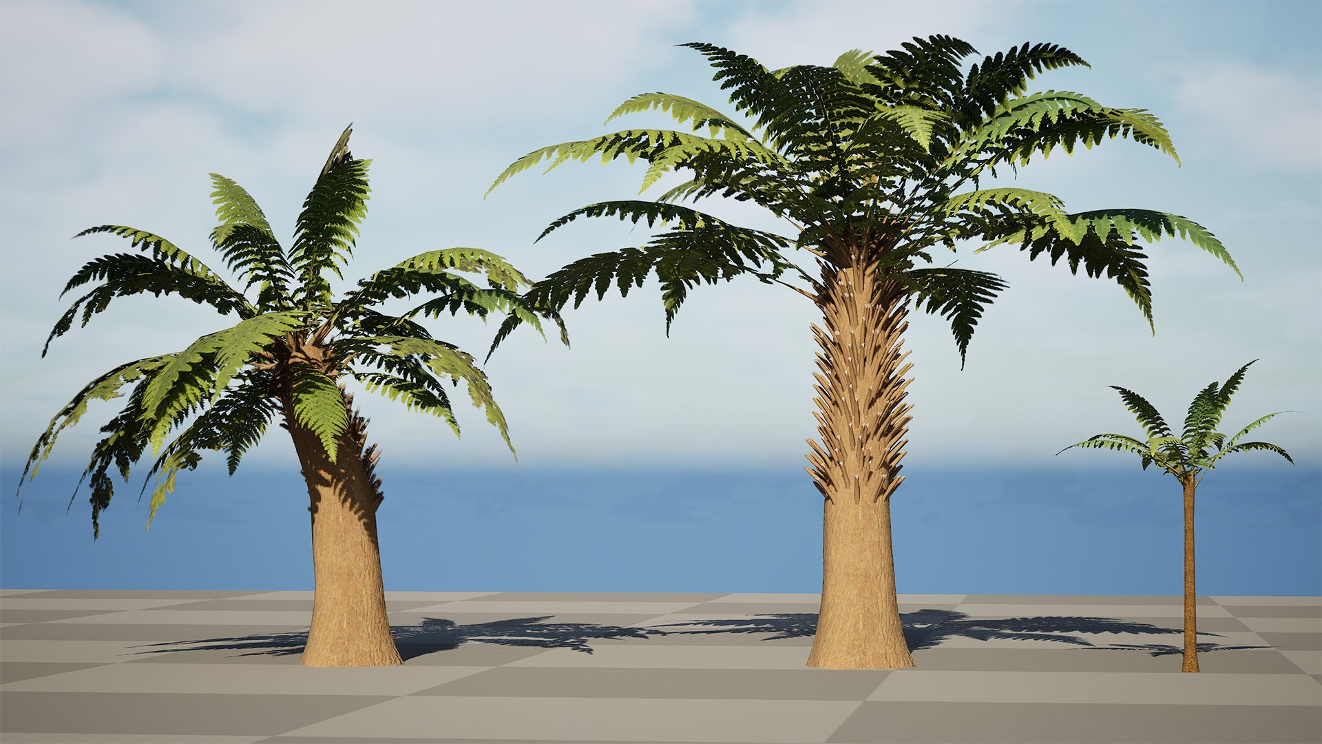 Realistic Tree Fern 3D Model - TurboSquid 2324095