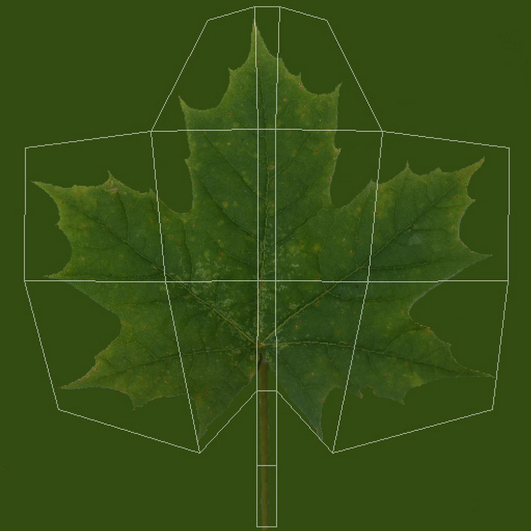 3D Tree Maple Model - TurboSquid 1666485