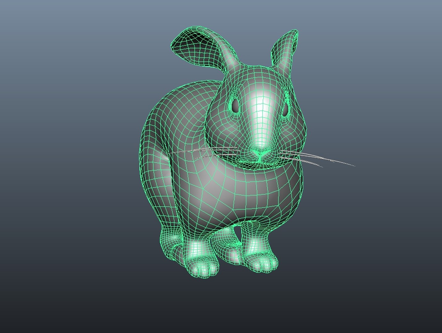 3d rabbit model