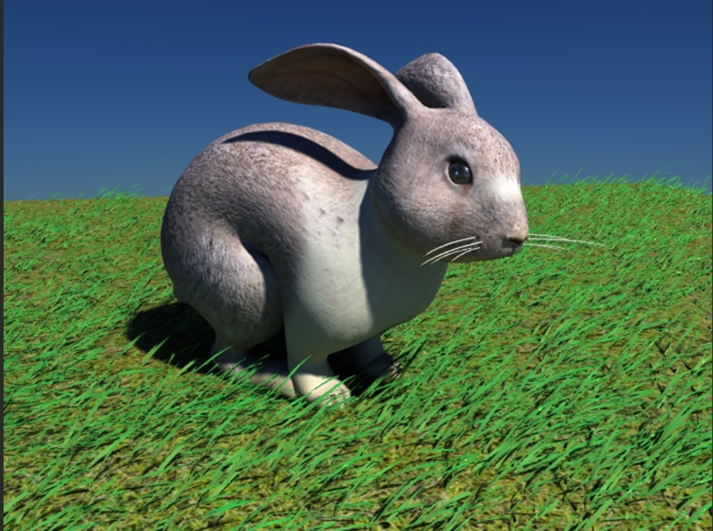 3d rabbit model
