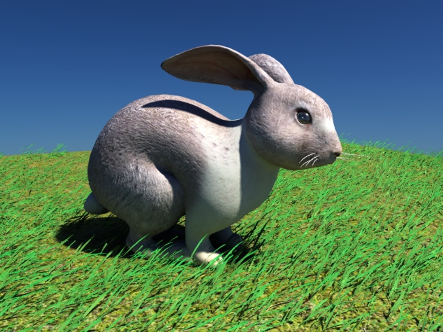 3d rabbit model