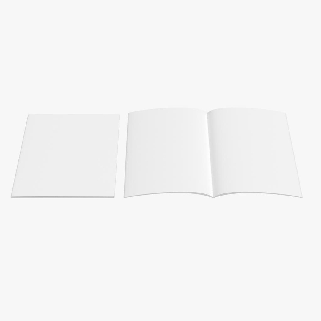 3D Brochure Mockups - TurboSquid 1485054