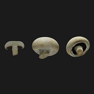 Button Mushroom 3D Models for Download | TurboSquid