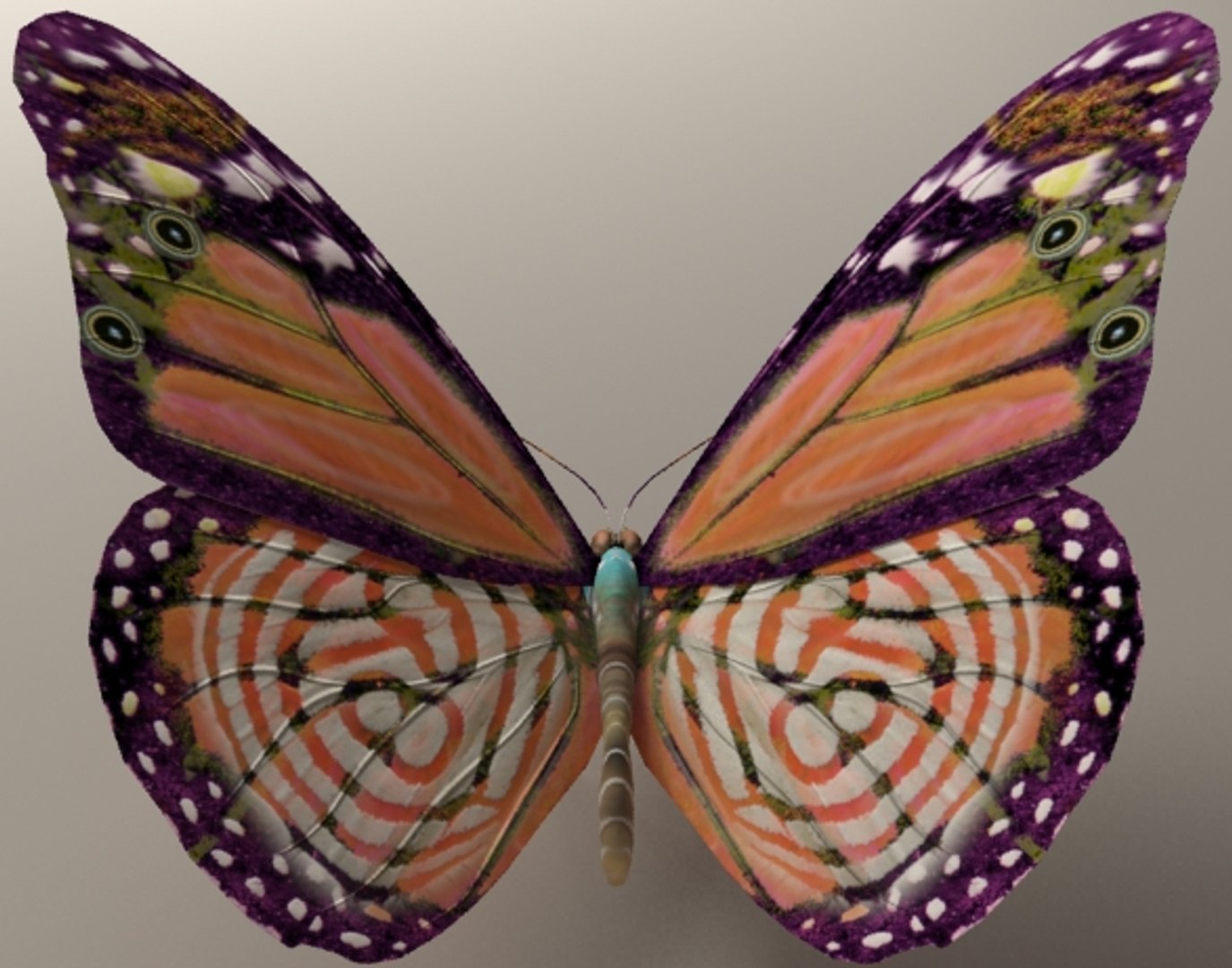 Butterfly 3d Model