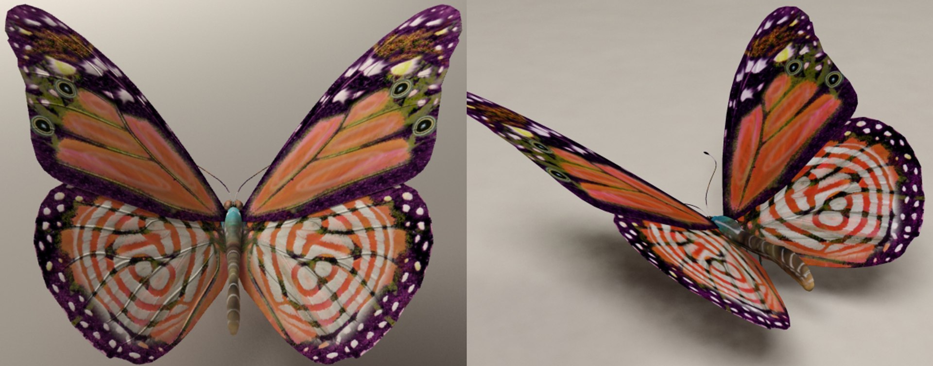 Butterfly 3d Model