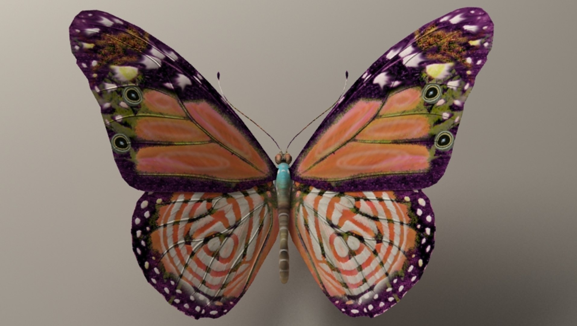 Butterfly 3d Model