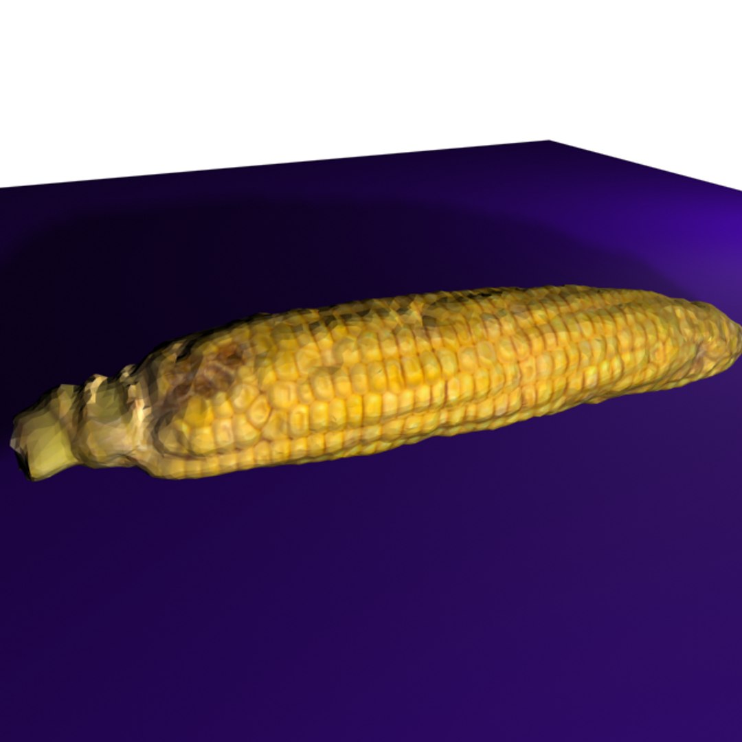 3d Model Accurate Corn
