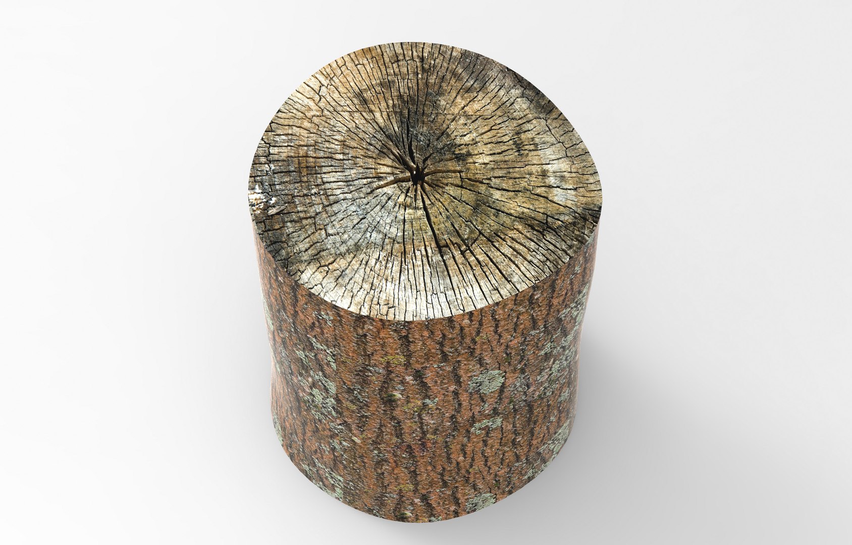 3D Wood Log Model - TurboSquid 2197514