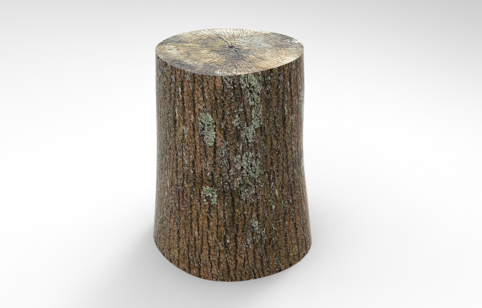 3D Wood Log Model - TurboSquid 2197514