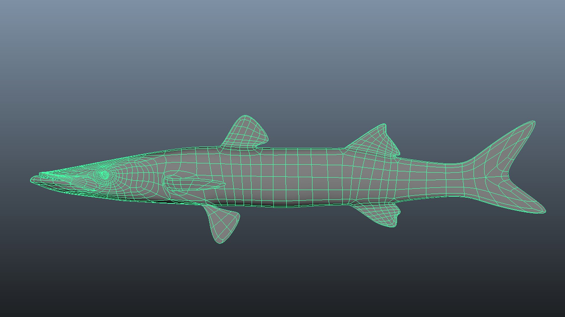 3D Saltwater Fish Collection 12 - TurboSquid 1835037