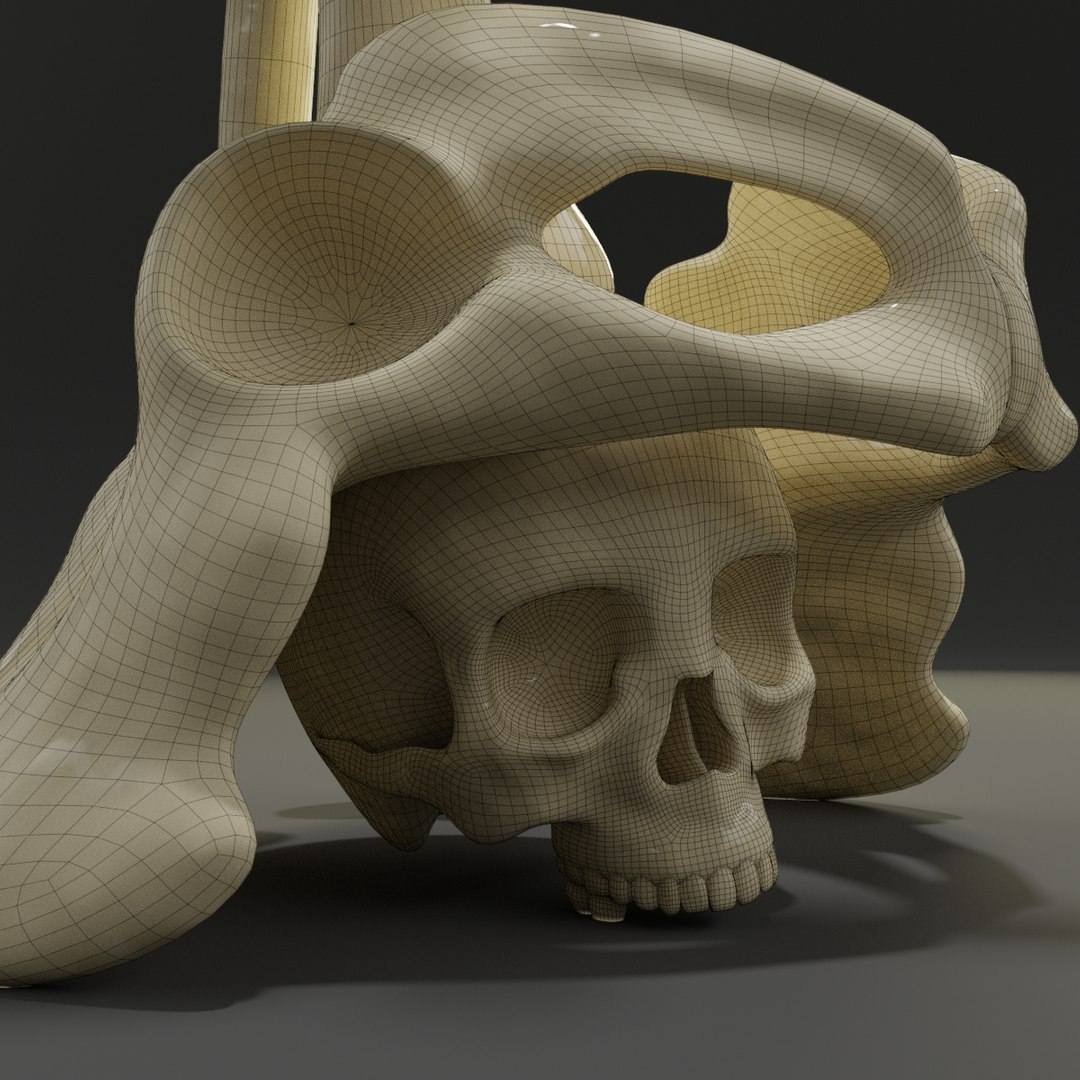 3D Letter F Bones Skeleton Model - TurboSquid 1544826