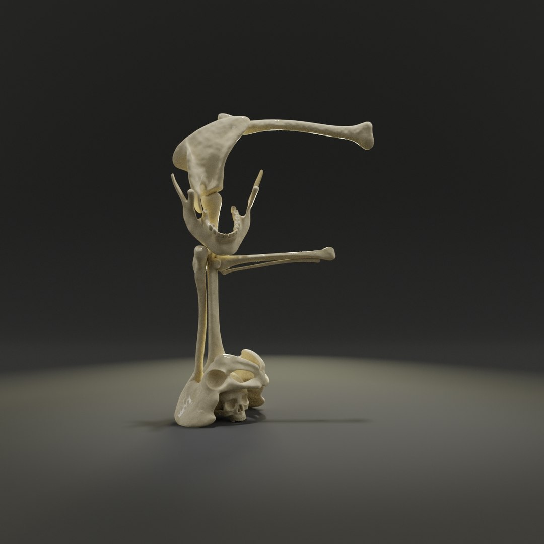 3D Letter F Bones Skeleton Model - TurboSquid 1544826