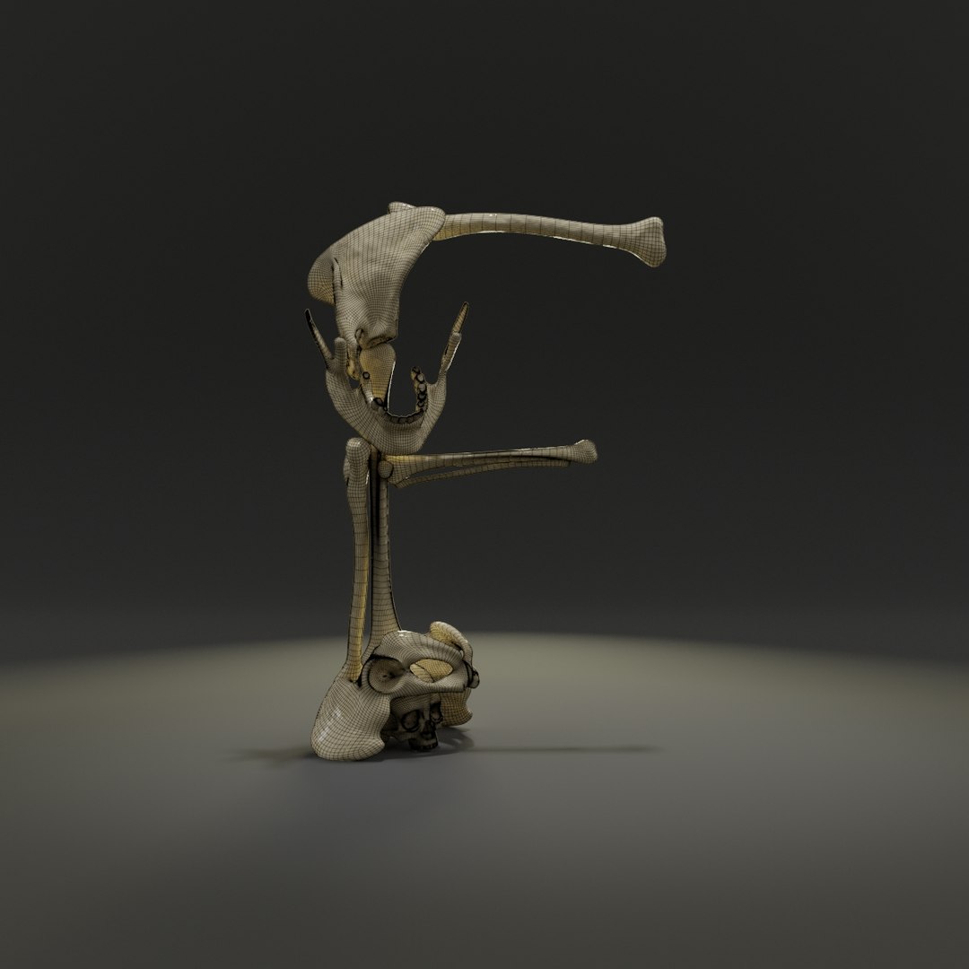 3D Letter F Bones Skeleton Model - TurboSquid 1544826