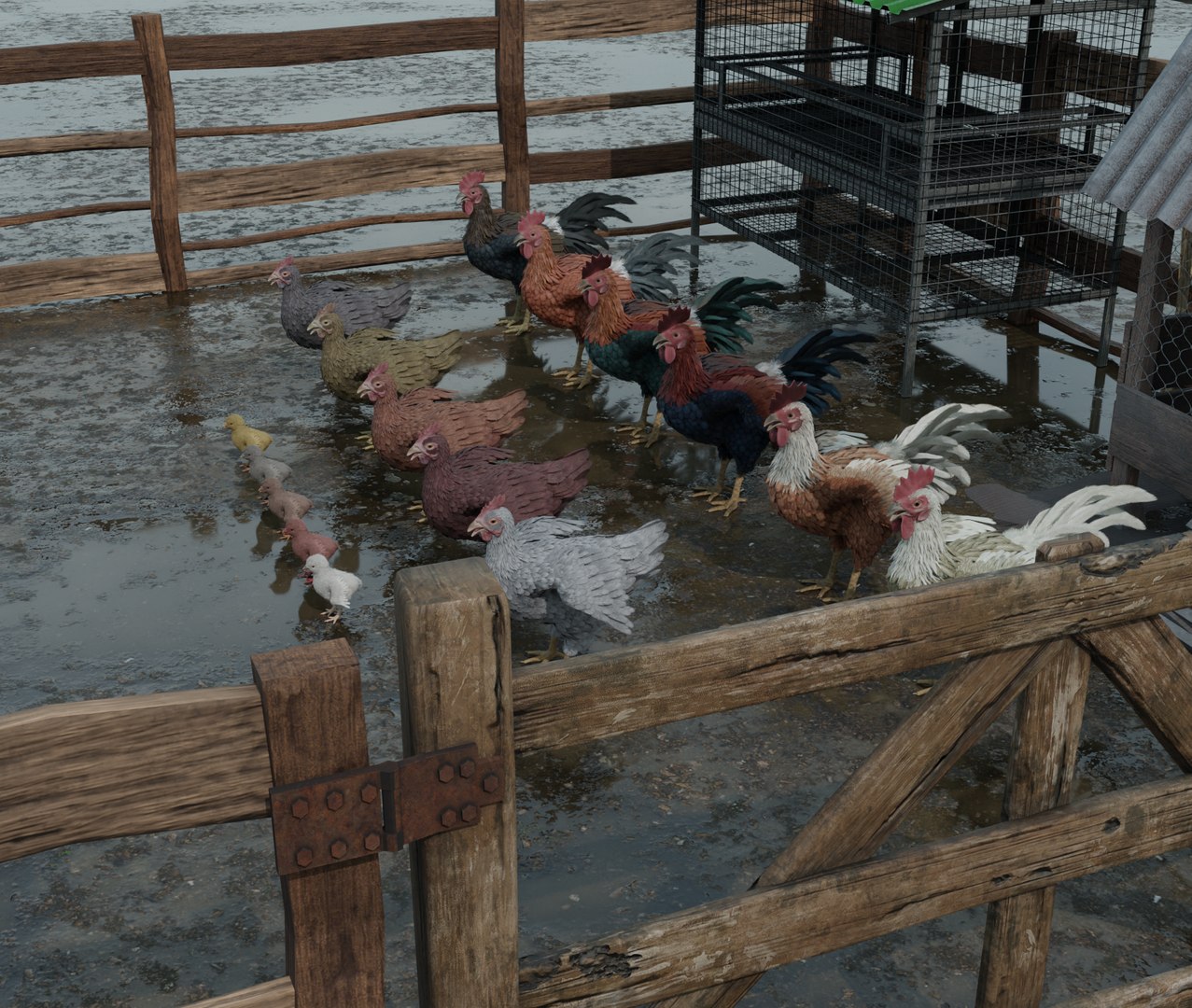 3D Chicken Farm Pack PBR 4k Low Poly Low Model - TurboSquid 2402207