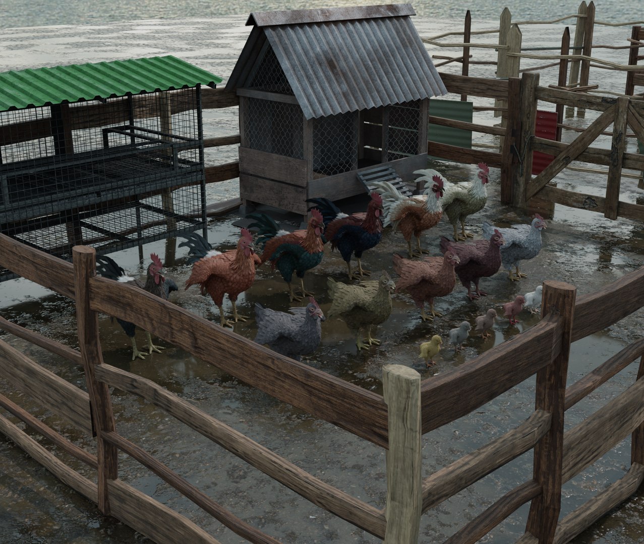 3D Chicken Farm Pack PBR 4k Low Poly Low Model - TurboSquid 2402207