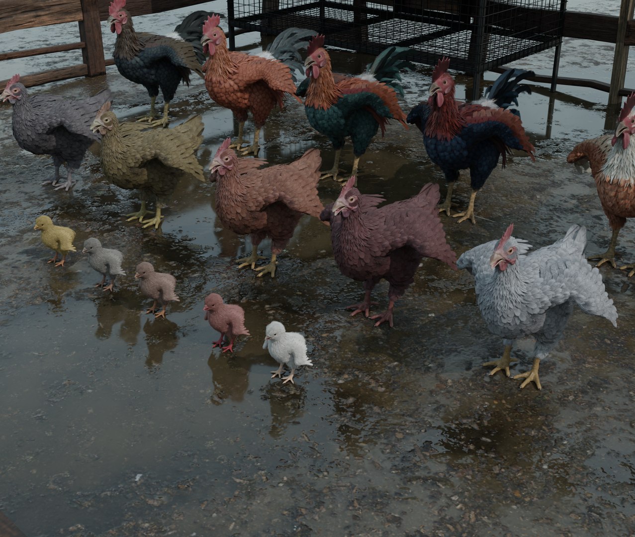 3D Chicken Farm Pack PBR 4k Low Poly Low Model - TurboSquid 2402207