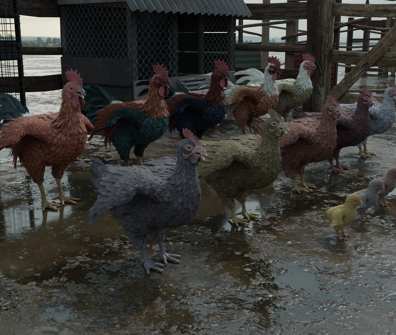 3D Chicken Farm Pack PBR 4k Low Poly Low Model - TurboSquid 2402207