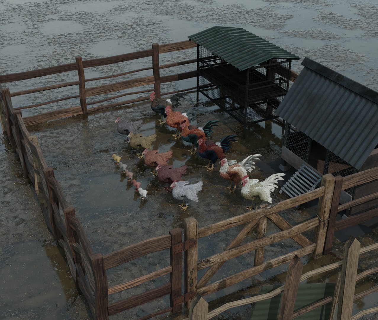 3D Chicken Farm Pack PBR 4k Low Poly Low Model - TurboSquid 2402207