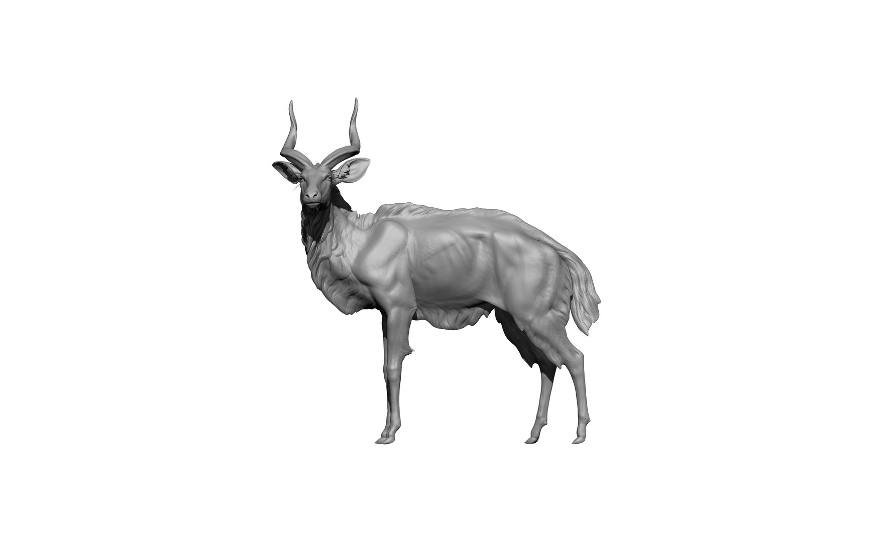 3D goat buffalo antelope - TurboSquid 2177658