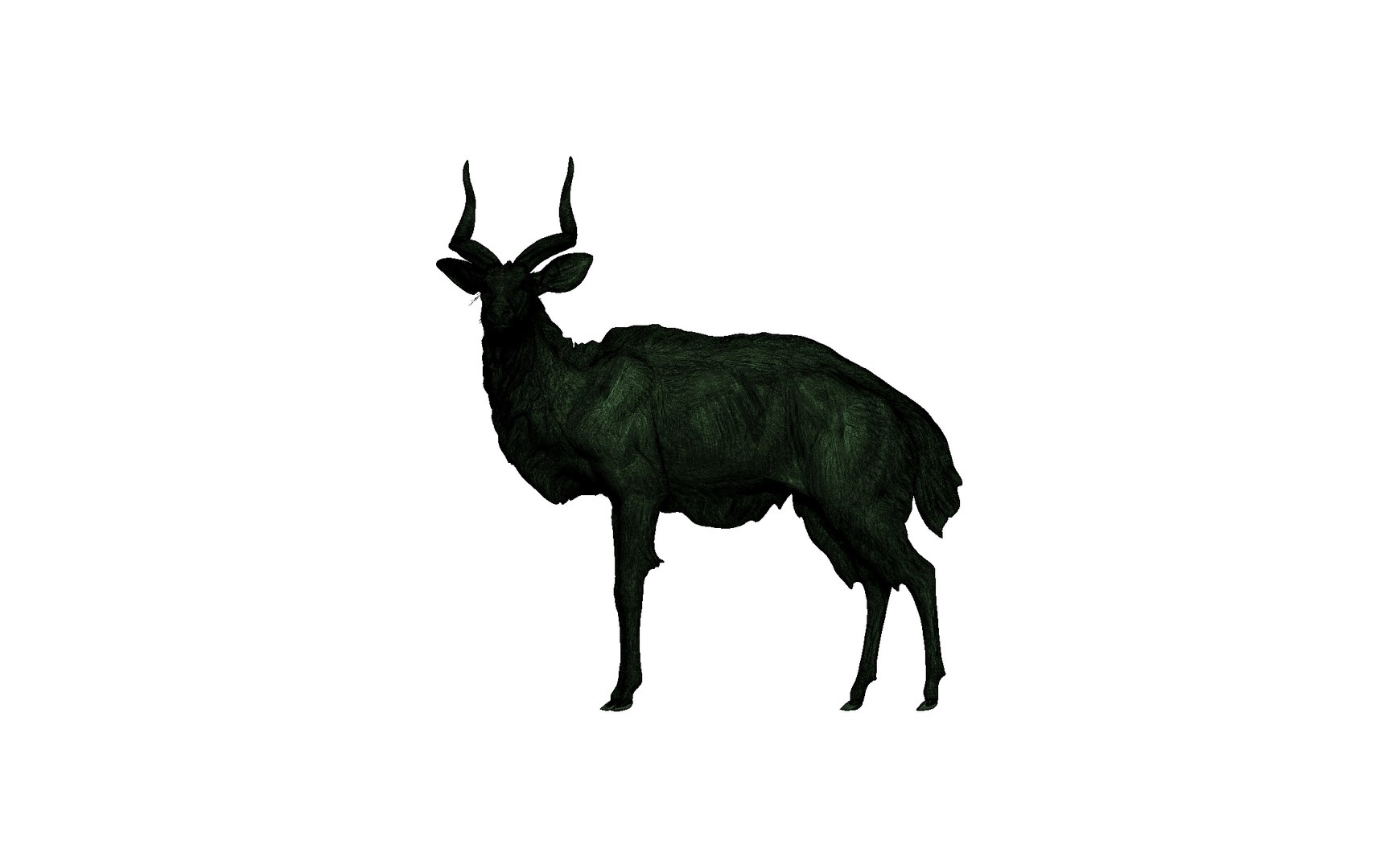 3D goat buffalo antelope - TurboSquid 2177658