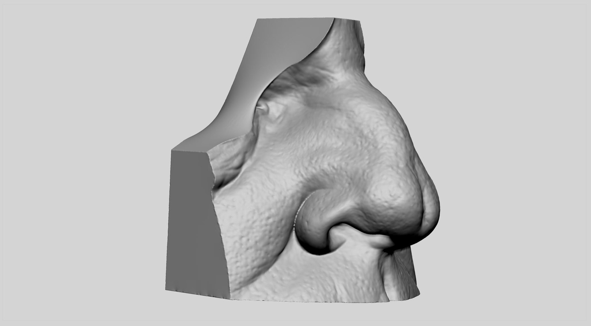 Nose Head Face 3D - TurboSquid 1685205